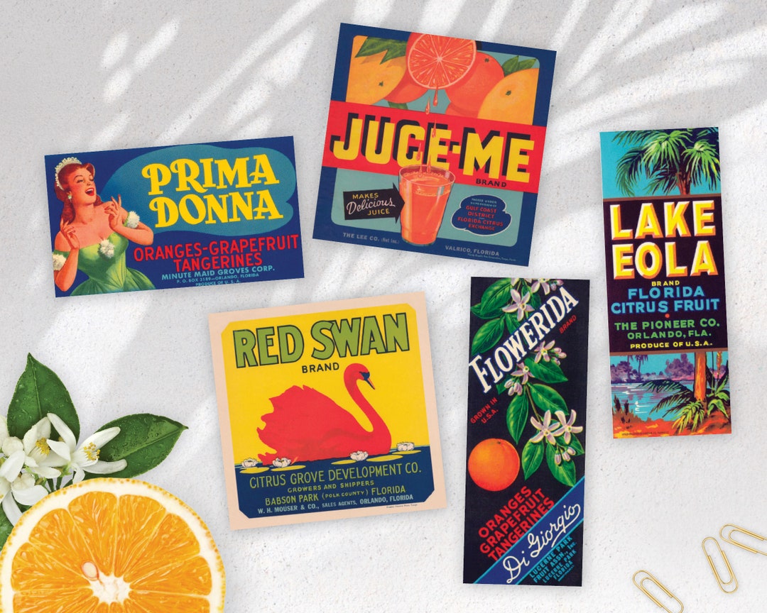 Vintage Citrus Label Florida Magnets, 5-piece Set - Etsy