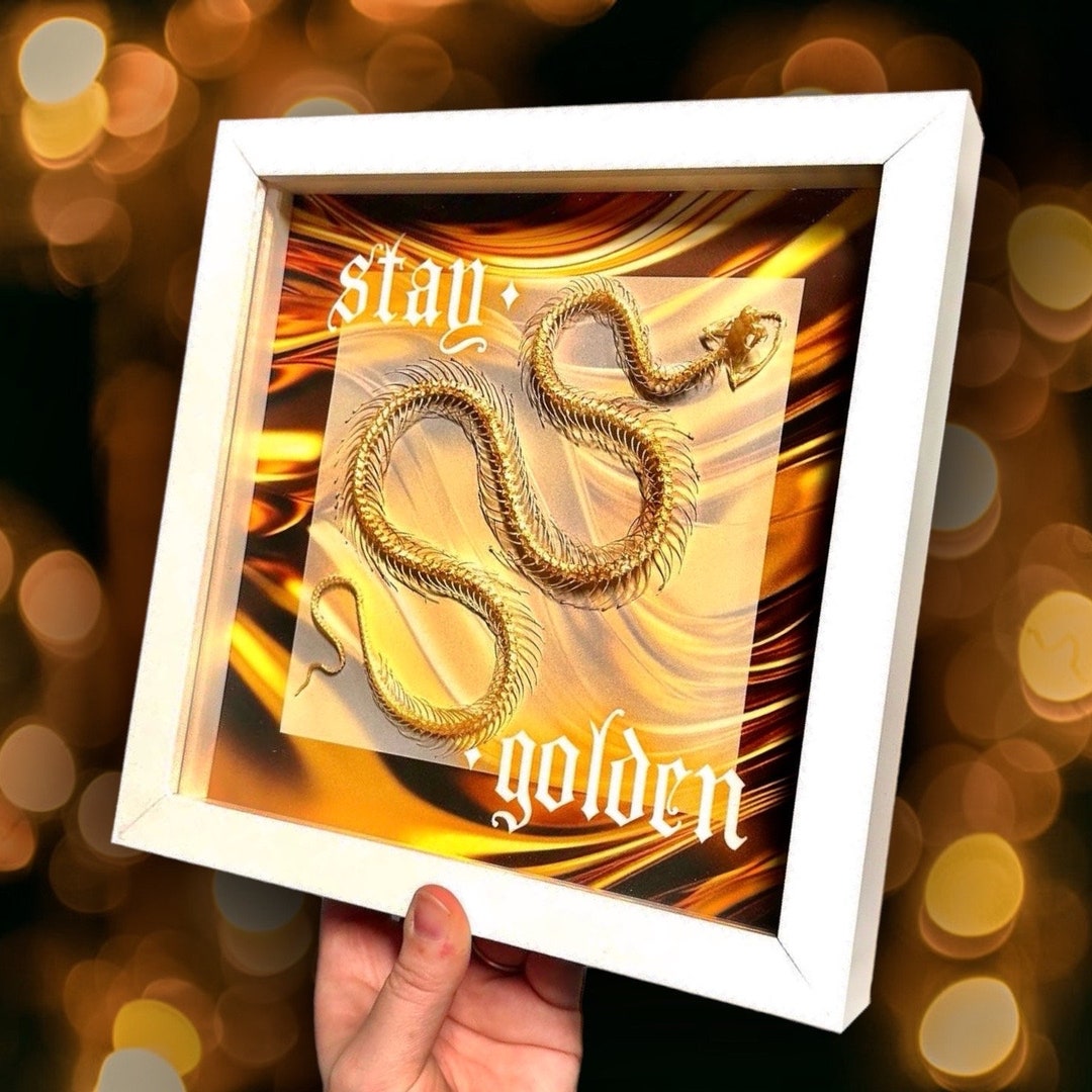 Framed Taxidermy Golden Snake Skeleton With Printed Background Enhydris ...
