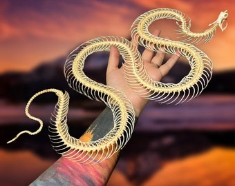 Taxidermy Snake - Etsy