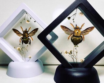 Bumble Bee Decor - Etsy