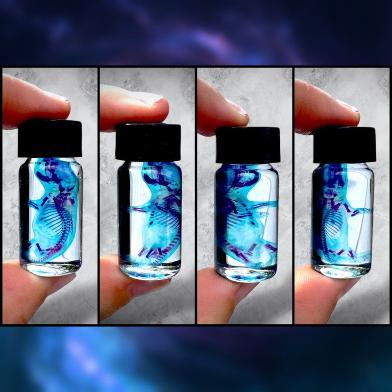 Diaphonization - Etsy