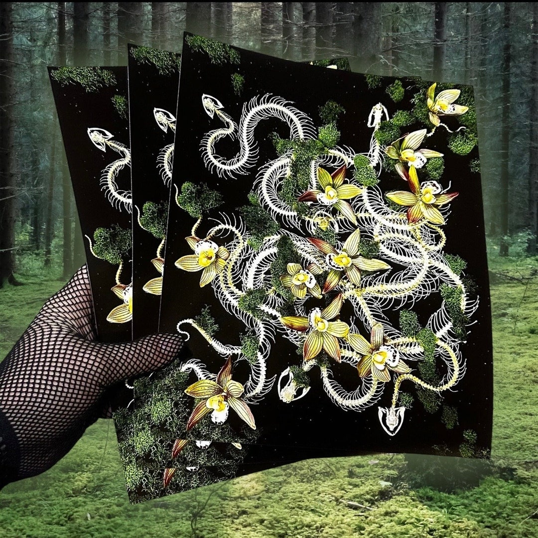 PRINT Snake Skeletons Snake Skeleton Photography Print Gothic Home ...