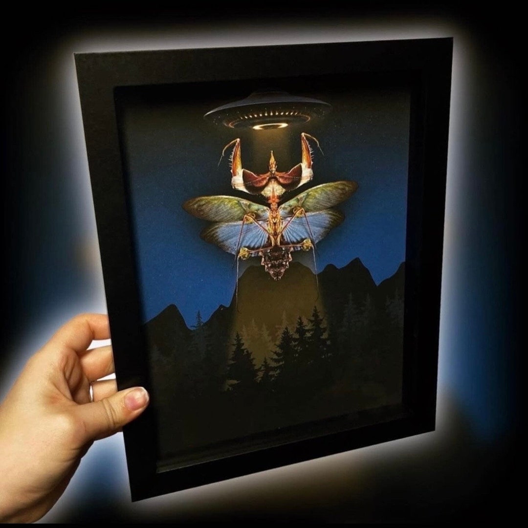 PRINT of a Taxidermy Idolomantis Diabolica Praying Mantis Cardstock Art ...