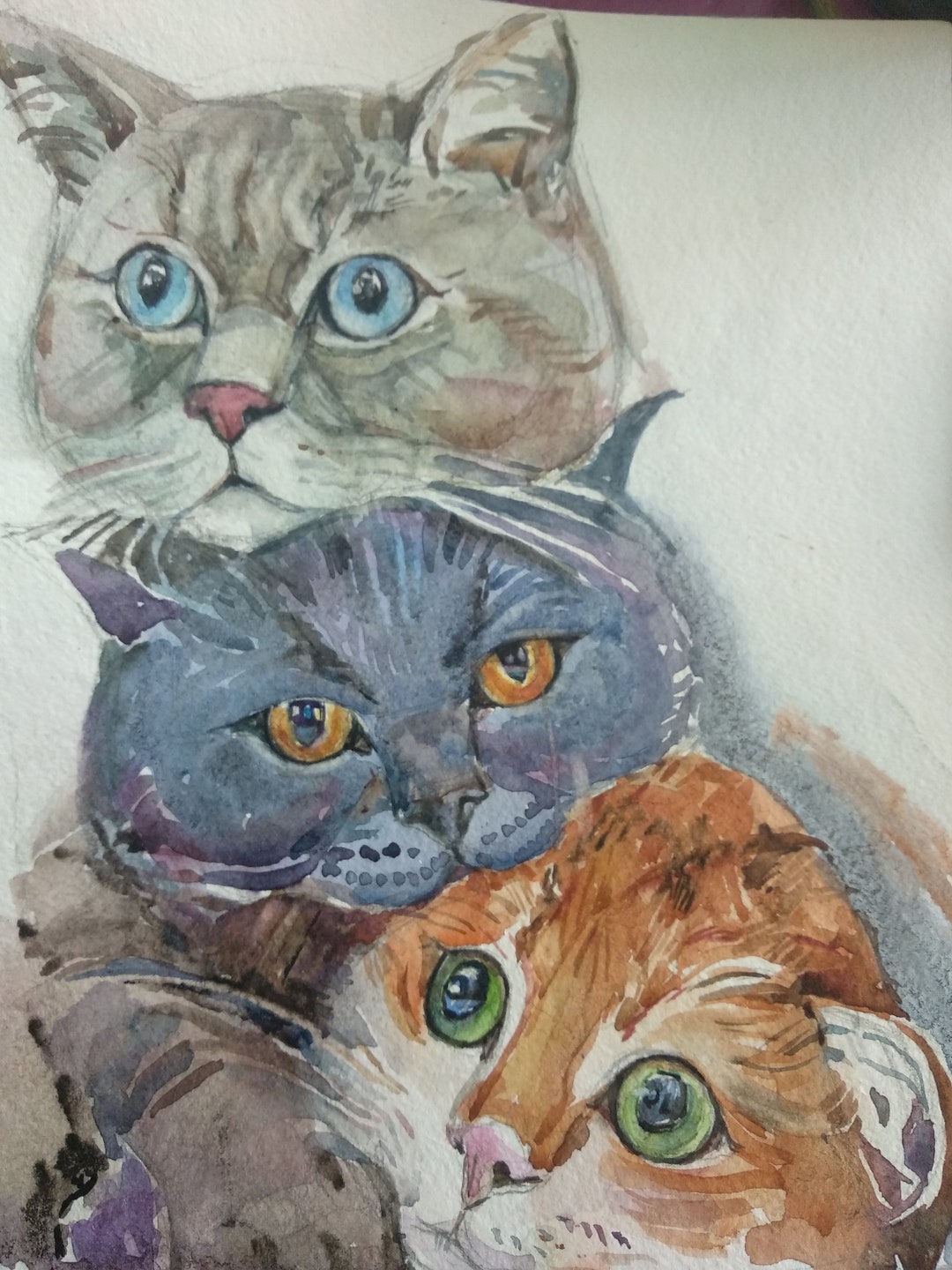 Portrait of 3 Cats. Portrait of Cats or Dogs to Order. - Etsy