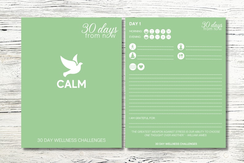 30 Day Wellness Challenge CALM PRINTABLE PDF - Etsy