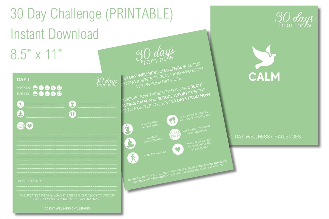 30 Day Wellness Challenge - CALM - PRINTABLE PDF - Etsy