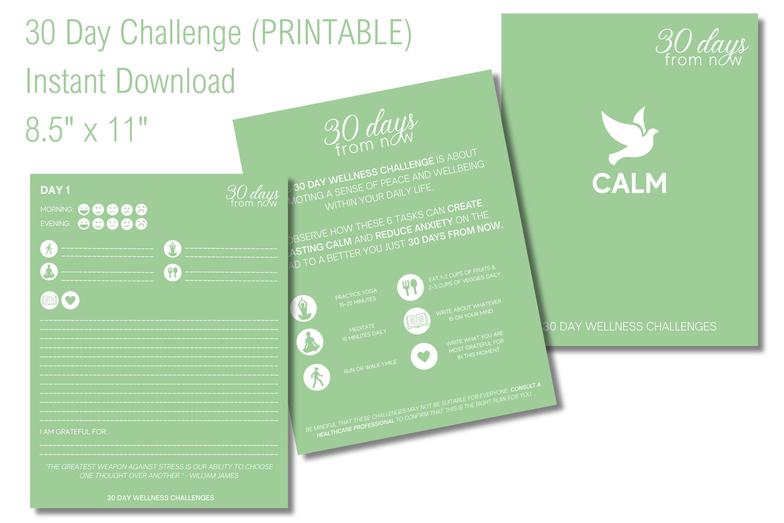 30 Day Wellness Challenge - CALM - PRINTABLE PDF - Etsy