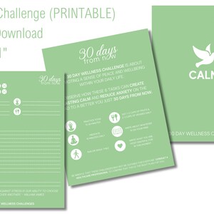 30 Day Wellness Challenge CALM PRINTABLE PDF - Etsy