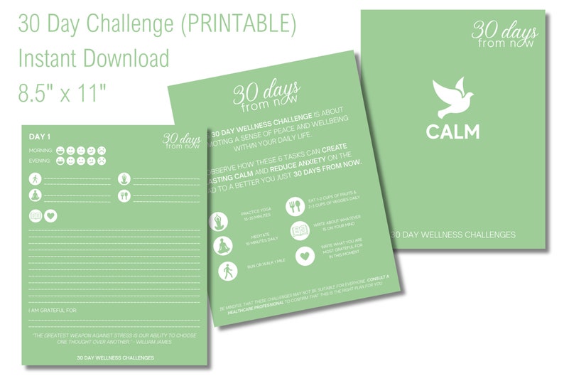 30 Day Wellness Challenge CALM PRINTABLE PDF - Etsy