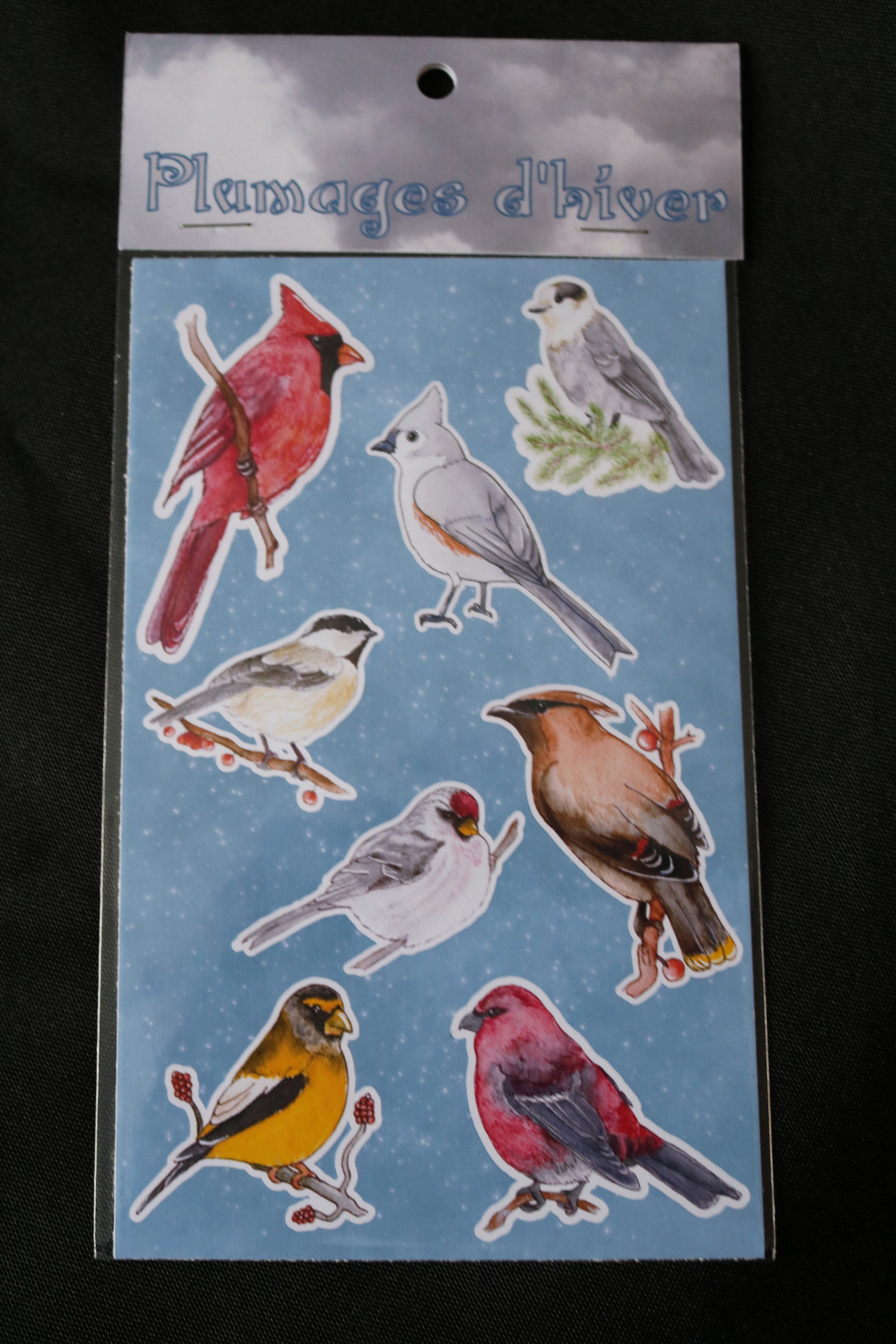 Canadian Wildlife Stickers - Etsy Canada