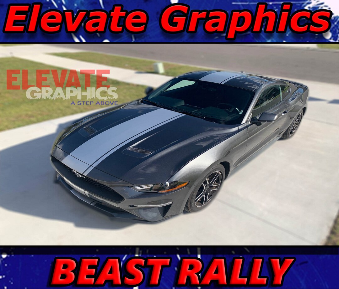 2018-2022 Fits Ford Mustang Rally Beast Stripes Vinyl 3M Auto - Etsy