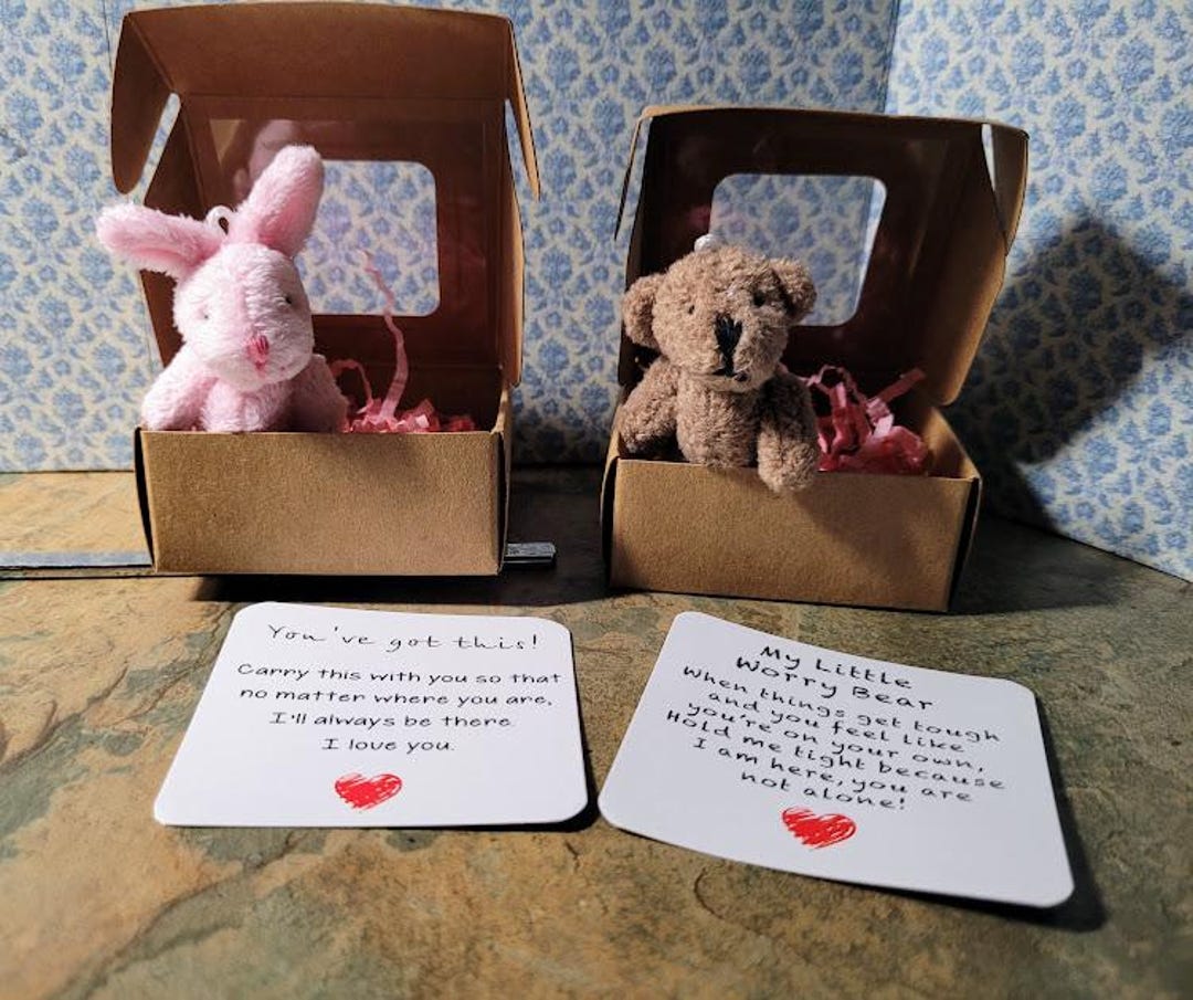 Mini Worry Bear or Bunny in Gift Box Pocket Hug With Message Card ...