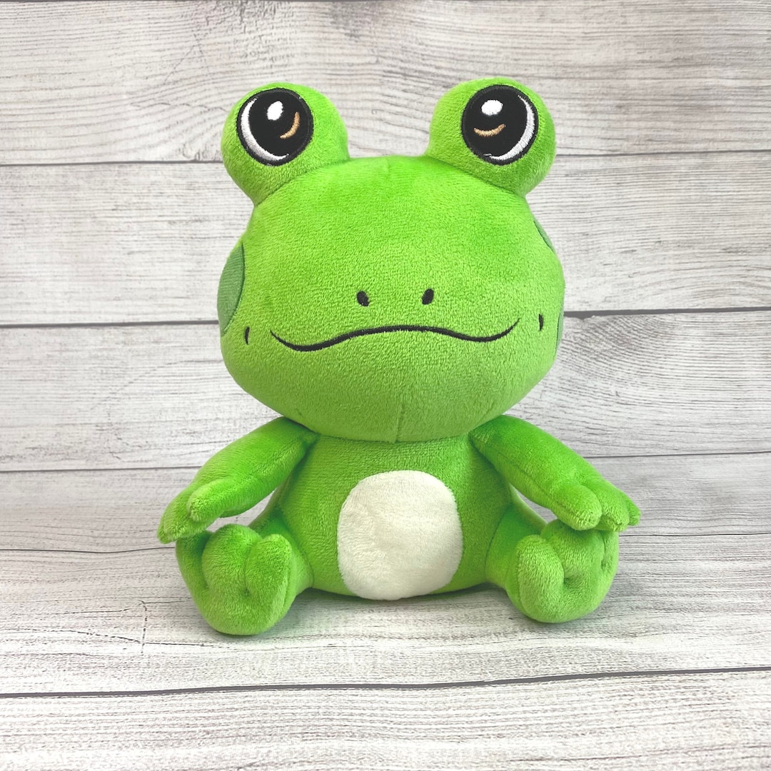 Adorable Stuffed Plush Frog. Personalization Can Be Added to Make This ...