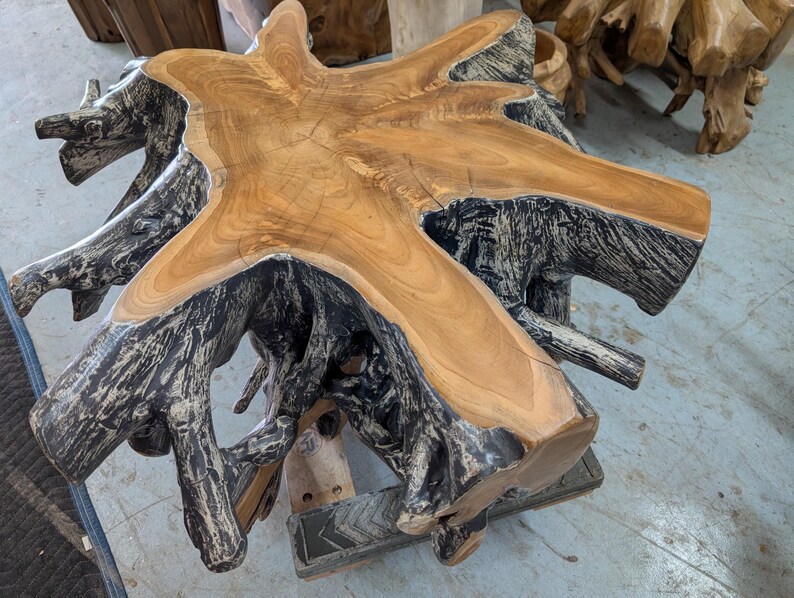 Teak Root Stump Coffee Table Gray Washed Sides - Etsy