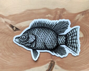 Bluegill Fish Decal Sticker - Etsy