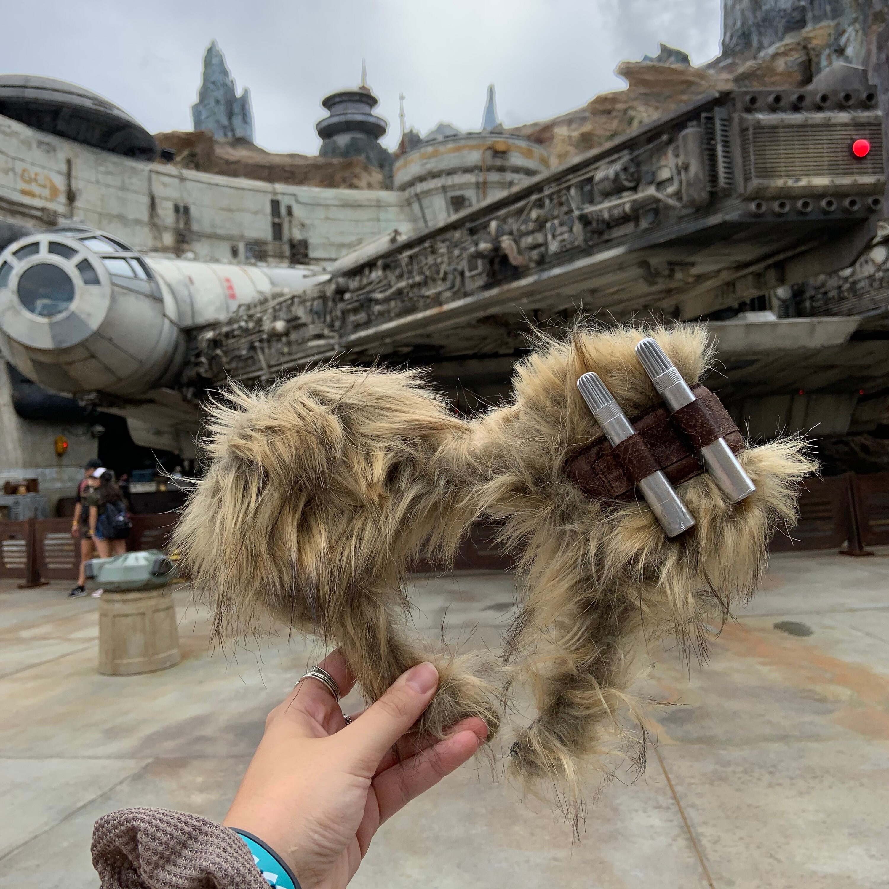 Wookie Chewbacca Star Wars Mouse Ears | Etsy