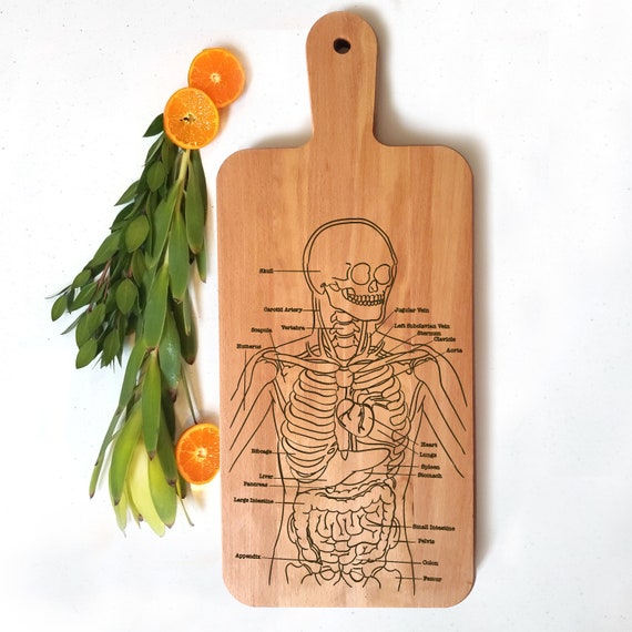 Human Anatomy Charcuterie Board by Bright on Birch Engraved | Etsy