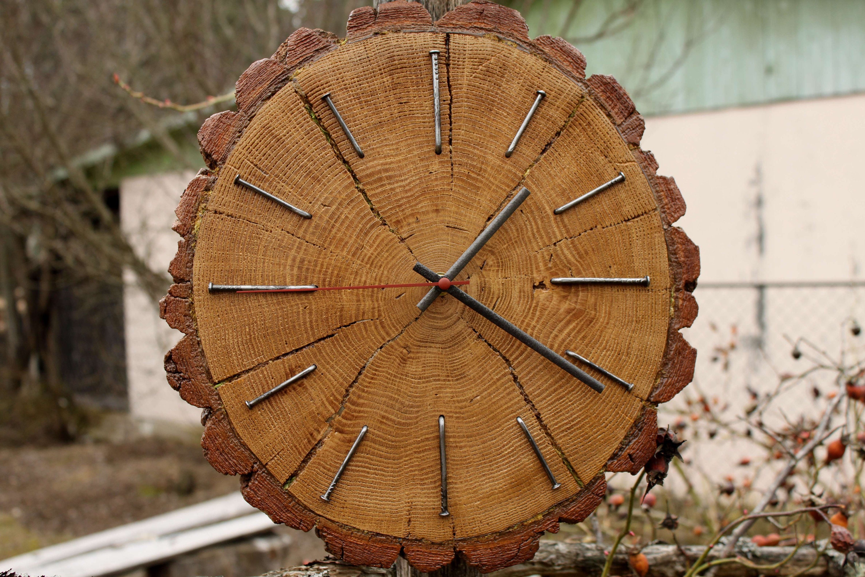 Unique Clock Wall Oak Old Tree Stump Natural Wooden Trunk | Etsy