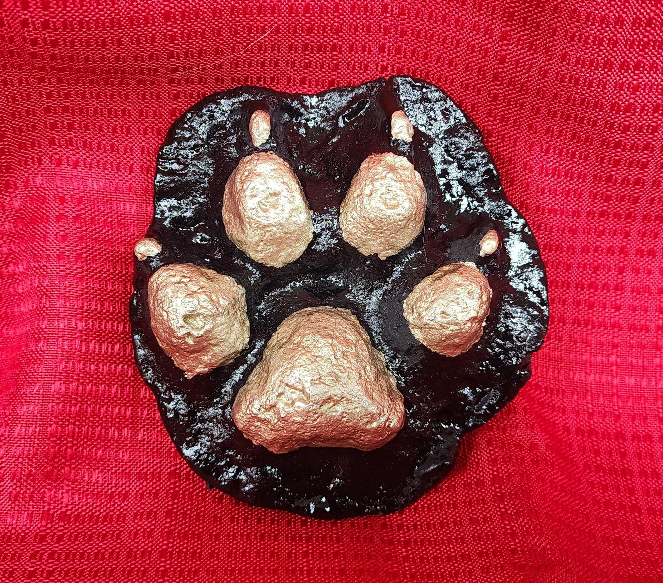 Display Dhole Paw Print - Etsy