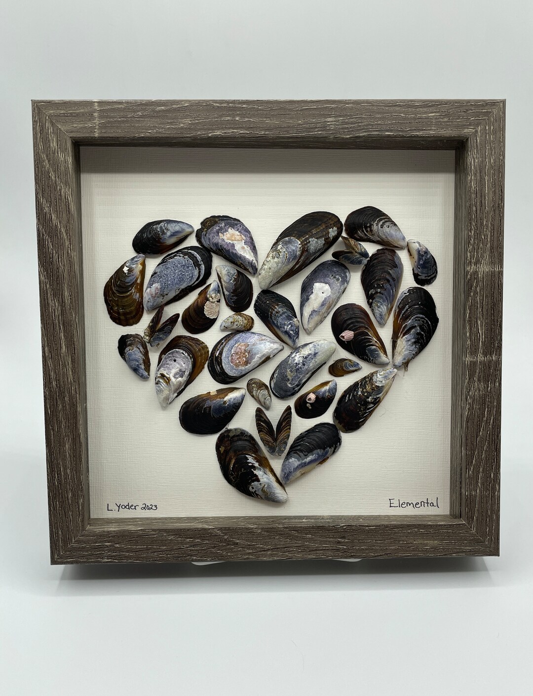 Mussel Shell Art, Seashell Heart, Elemental Framed Beach Art, Coastal ...