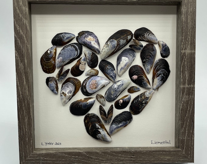 Mussel Shell Art, Seashell Heart, Elemental Framed Beach Art, Coastal ...