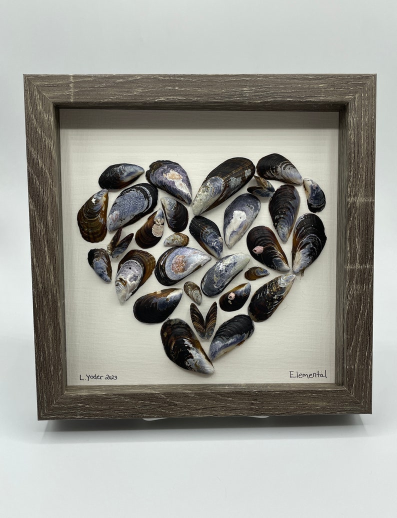 Mussel Shell Art, Seashell Heart, Elemental Framed Beach Art, Coastal ...