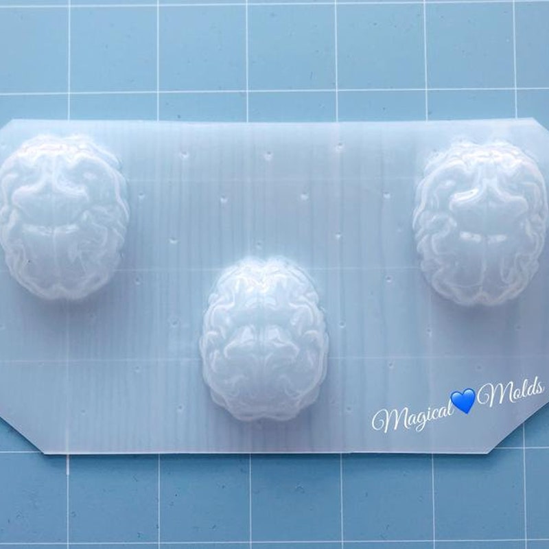 Brain Candy Mold - Etsy