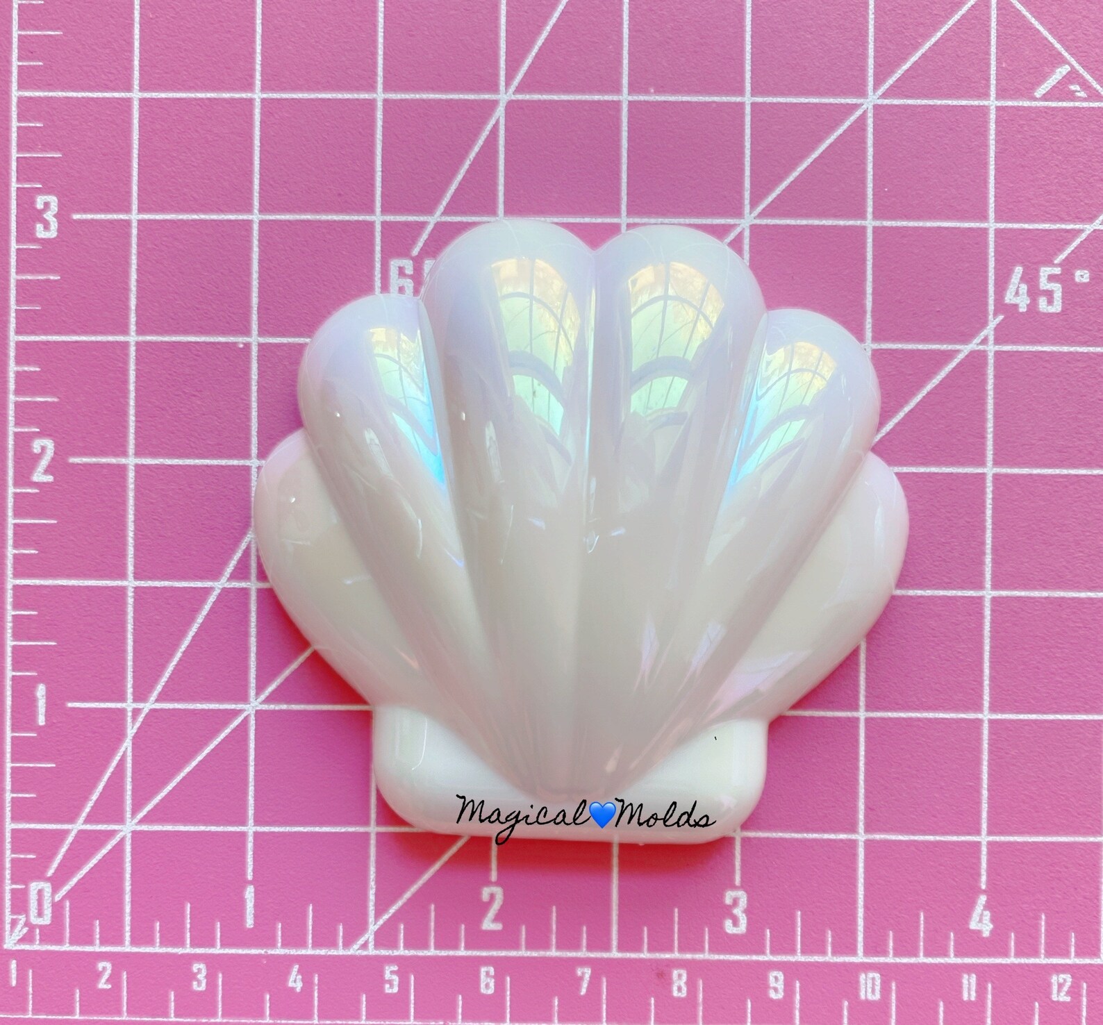 Large 3D Sea Shells Flexible Plastic Resin Chocolate Soap Mold - Etsy