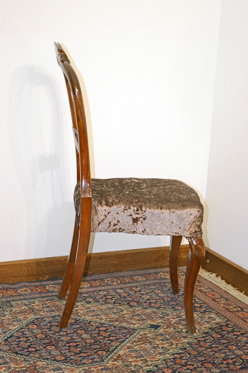 Antique Chairs 4pcs Rococo Mahogany 1890s 4 Chaises De Style Rococo ...