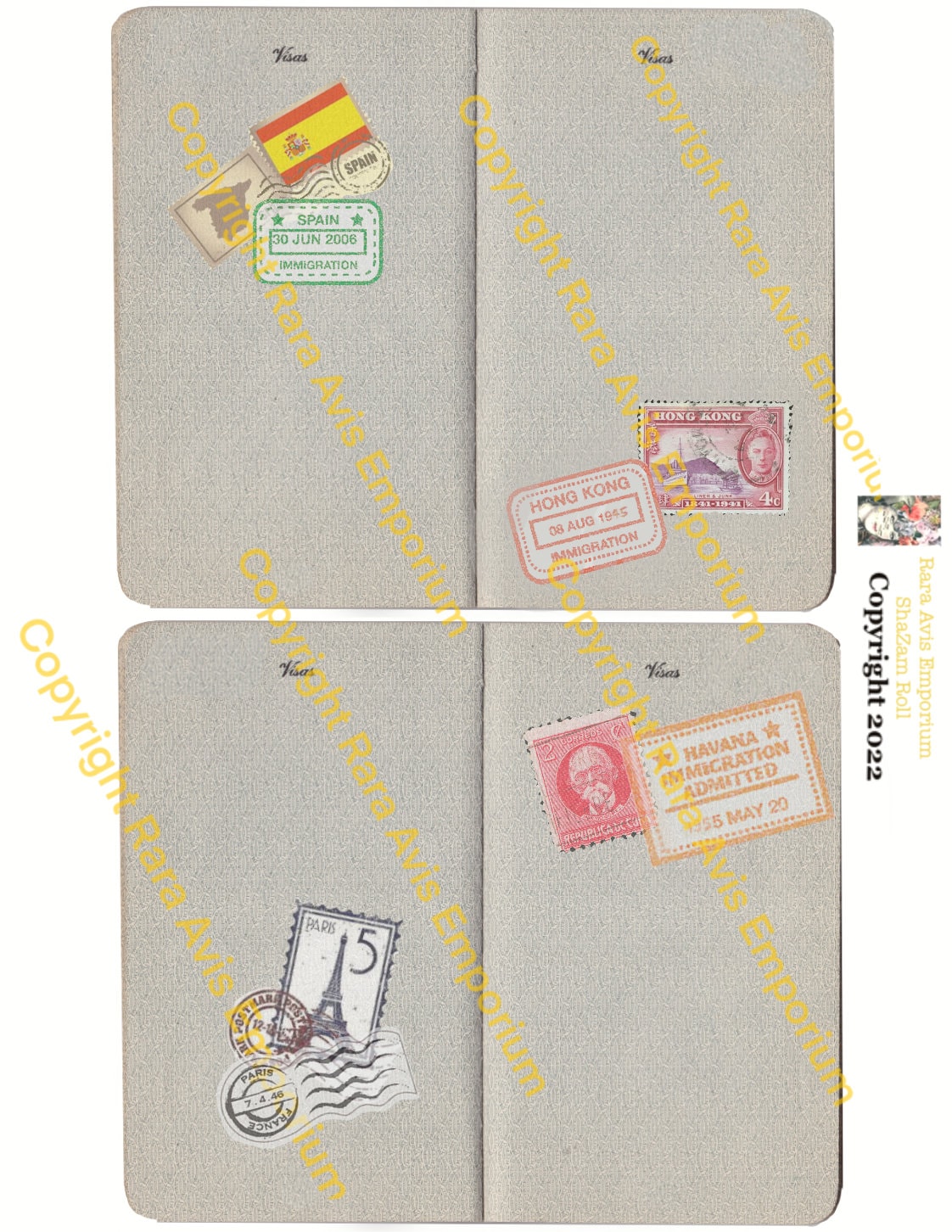 Time Travelers Passport Digital Downloadable - Etsy