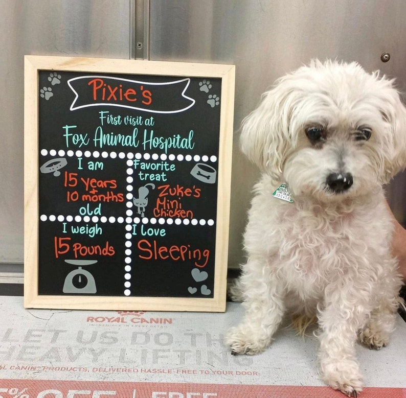 Veterinary First Visit Chalkboard Vet Visit Chalkboard | Etsy