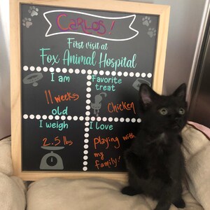 Veterinary First Visit Chalkboard Vet Visit Chalkboard Pets First Visit ...