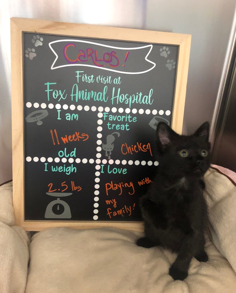 Veterinary First Visit Chalkboard Vet Visit Chalkboard - Etsy