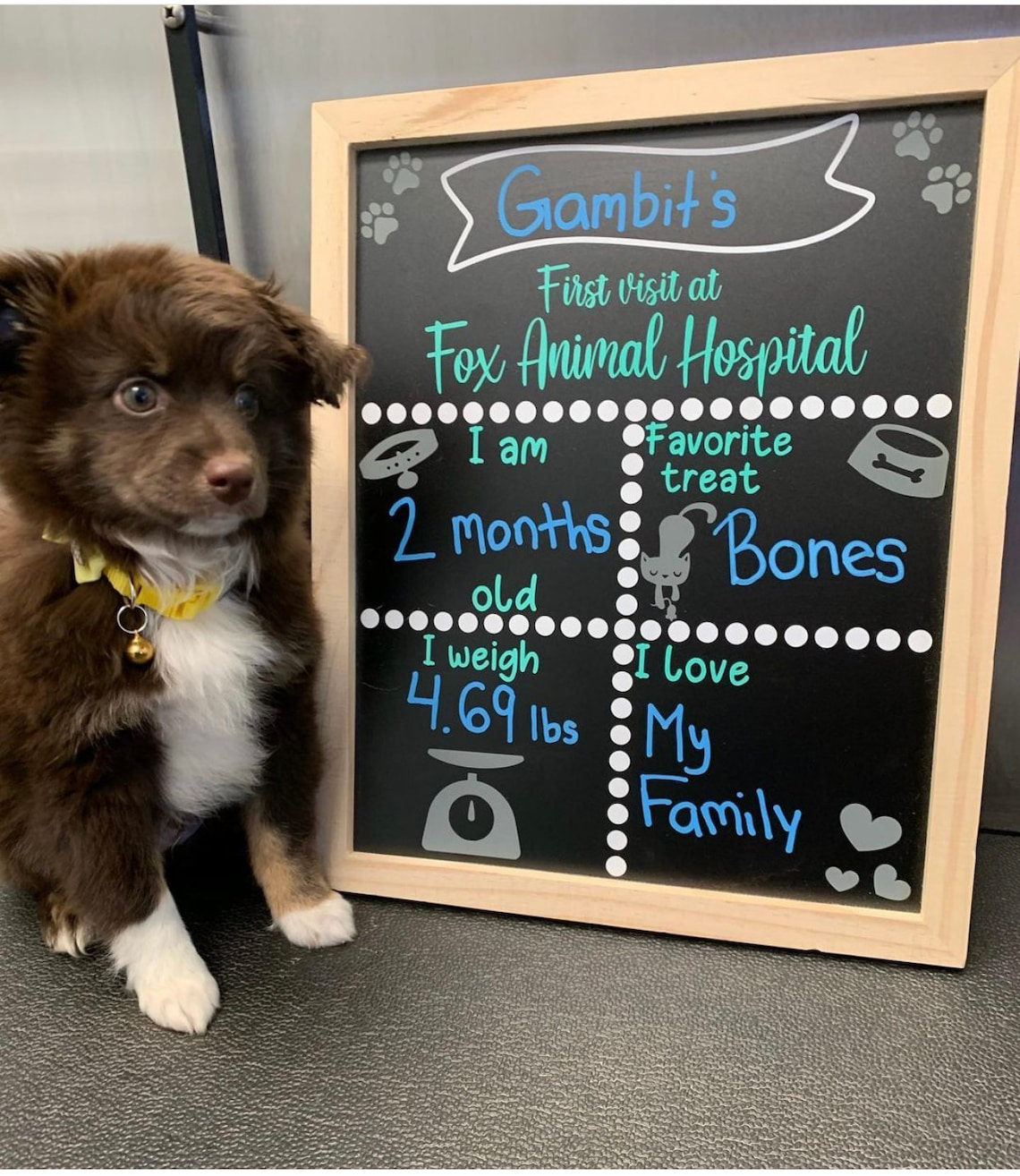 Veterinary First Visit Chalkboard Vet Visit Chalkboard - Etsy Australia