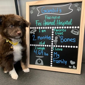 Veterinary First Visit Chalkboard Vet Visit Chalkboard Pets First Visit ...