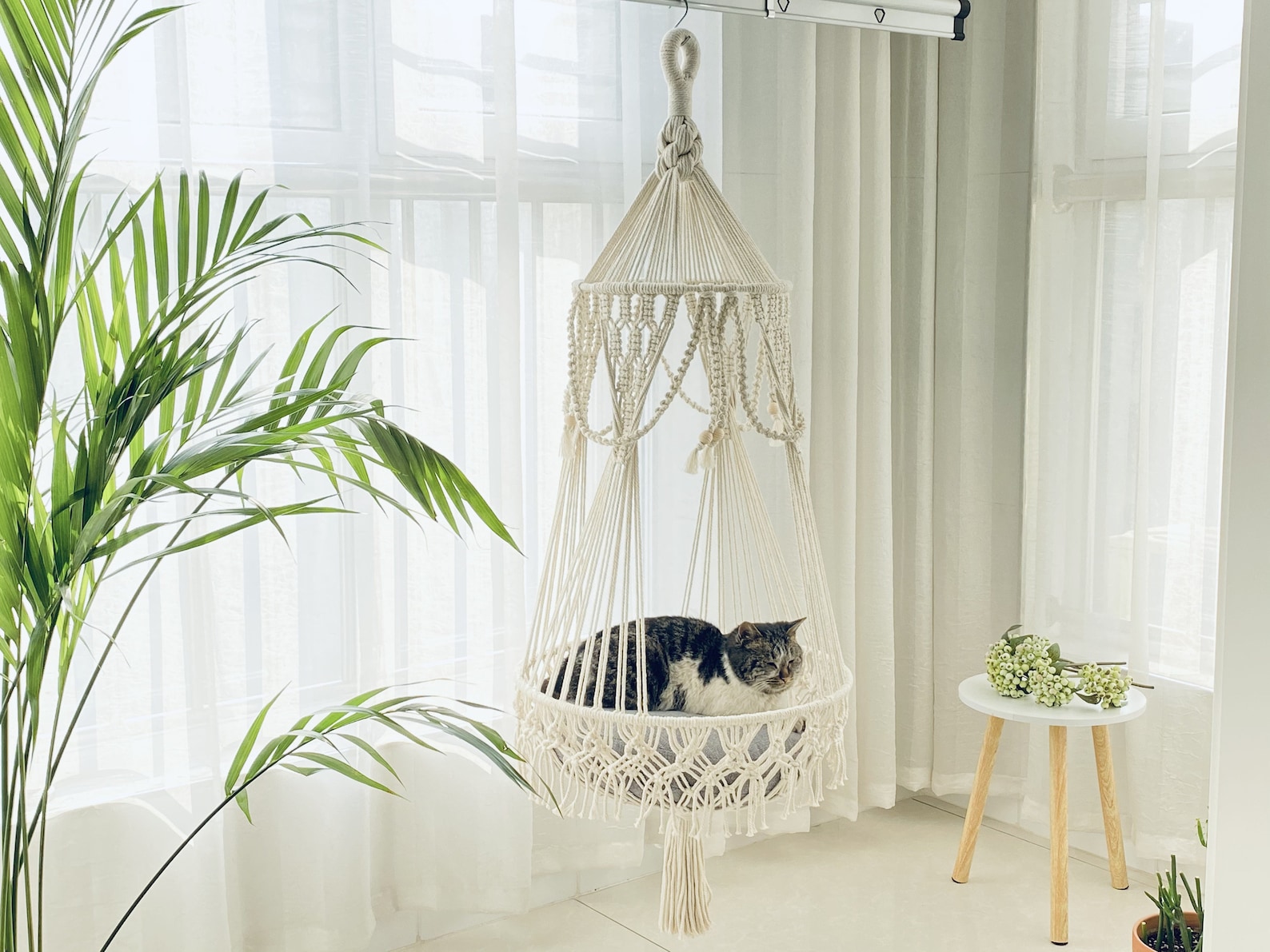 Handwoven Modern Macrame Cat Hammock Macrame Cat Bed Hanging - Etsy