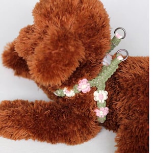 Beginner Level Macrame Dog Harness PDF Pattern, DIY Macrame Pattern for ...