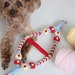 Beginner Level Macrame Dog Harness PDF Pattern, DIY Macrame Pattern for Small Dog Harness, Cat ...