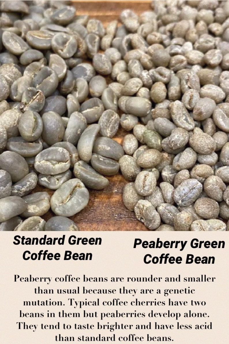Valle Antigua Peaberry Viennese Roast Guatemala Grown Coffee - Etsy
