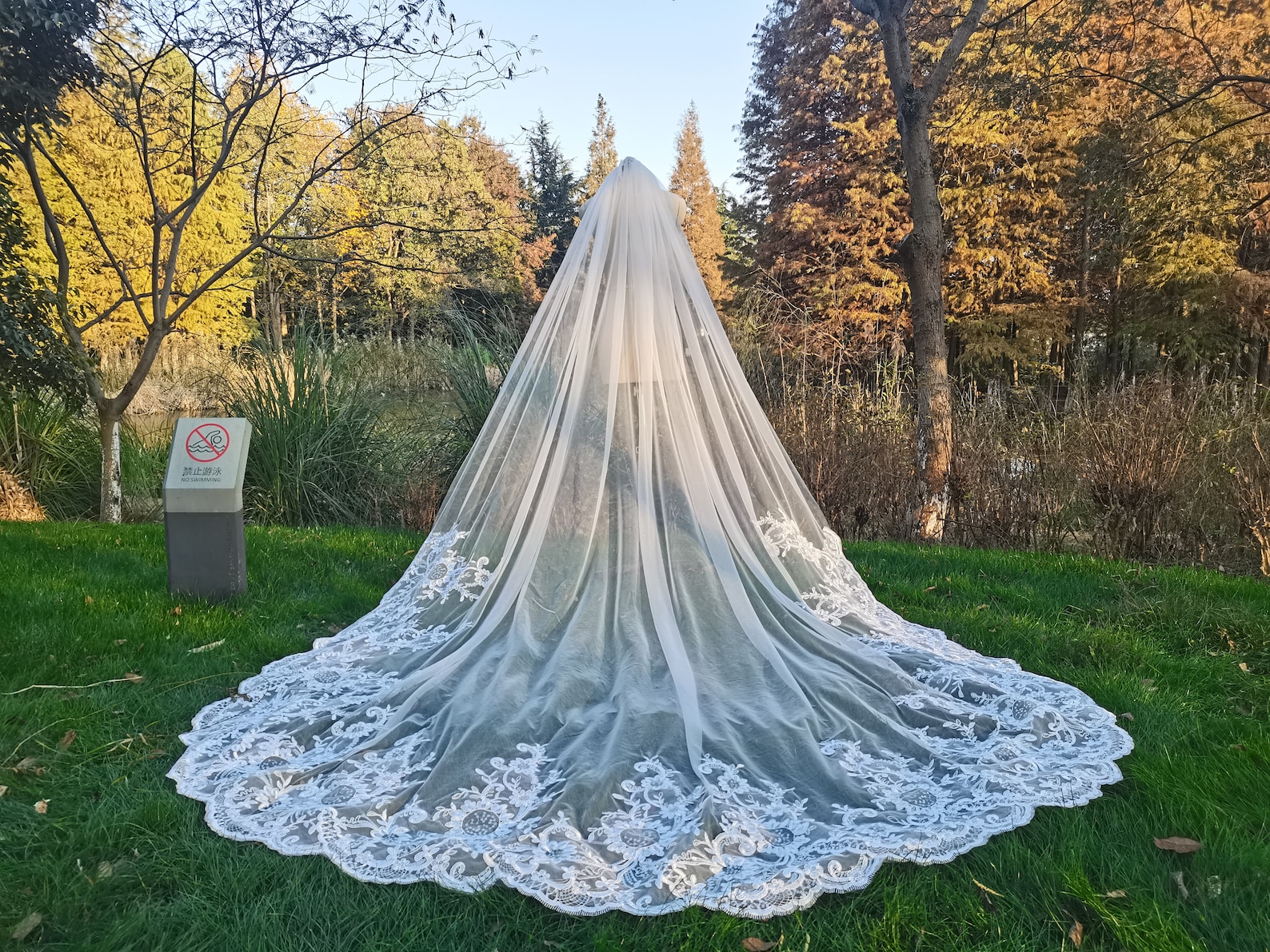 Luxury Wedding Veils / Ivory Lace Veil /sequins Lace Applique Cathedral ...
