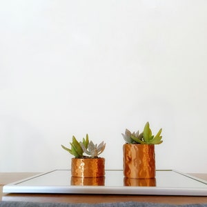 Copper Succulent Planters- Set of 2 - Etsy