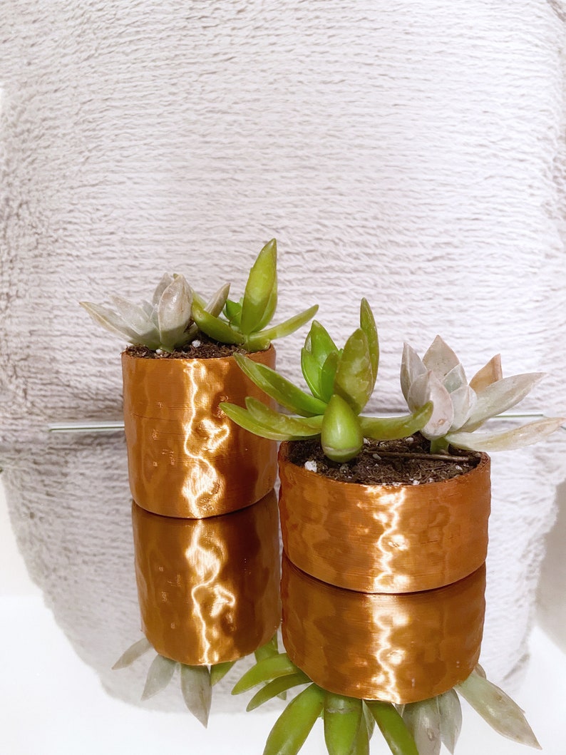 Copper Succulent Planters Set of 2 - Etsy