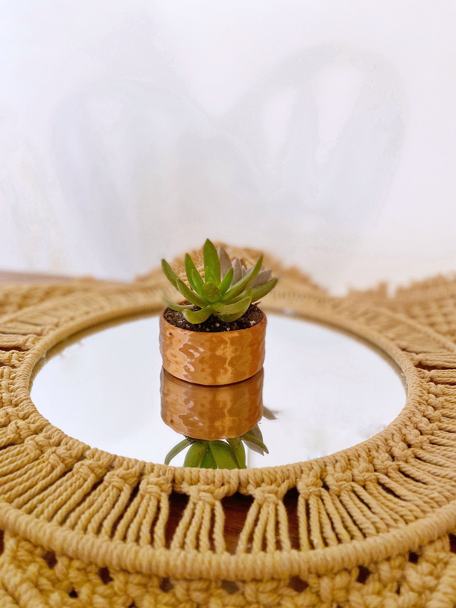 Copper Succulent Planters Set of 2 - Etsy