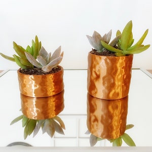 Copper Succulent Planters- Set of 2 - Etsy