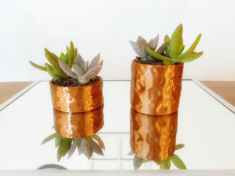 Copper Succulent Planters Set of 2 - Etsy