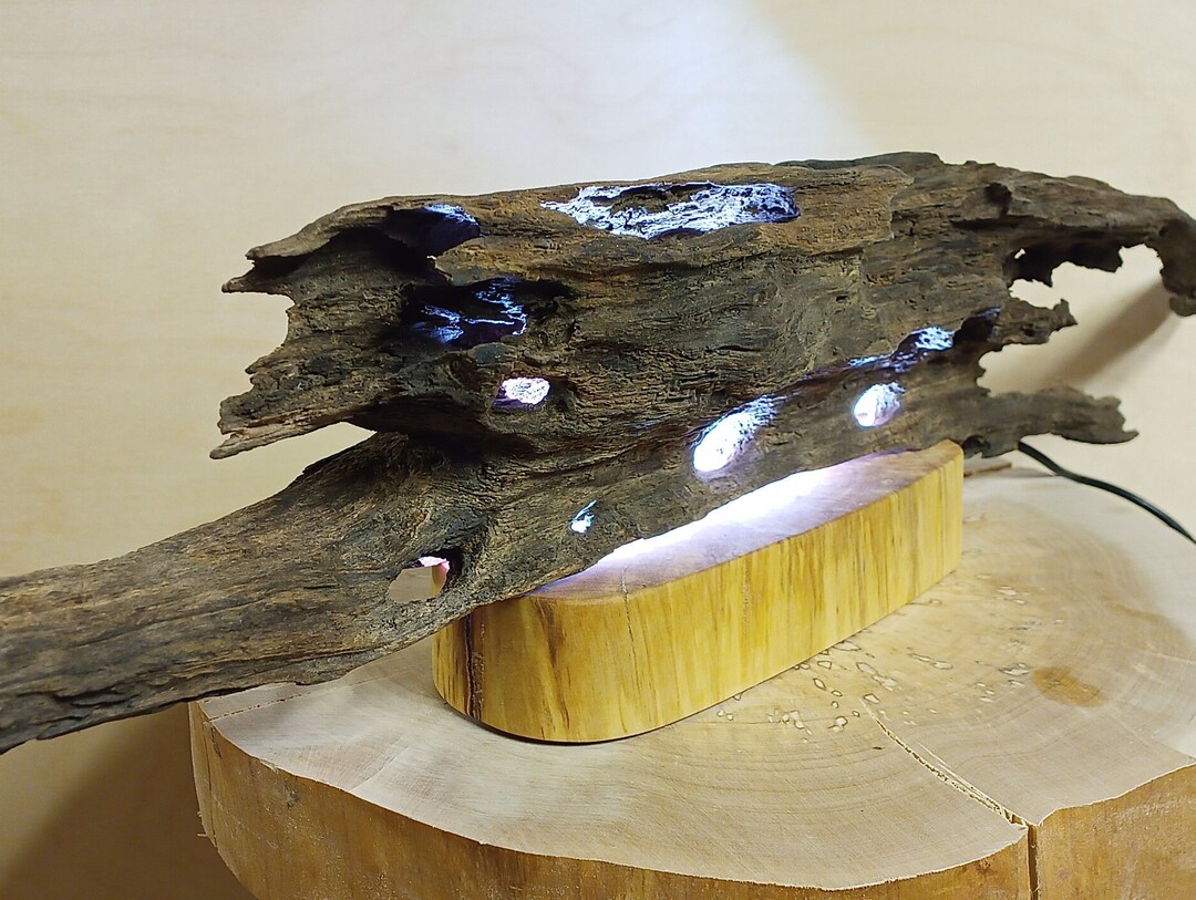 Driftwood Snag Accent Led Lamp. Phone Controlled via Bluetooth. Rustic ...