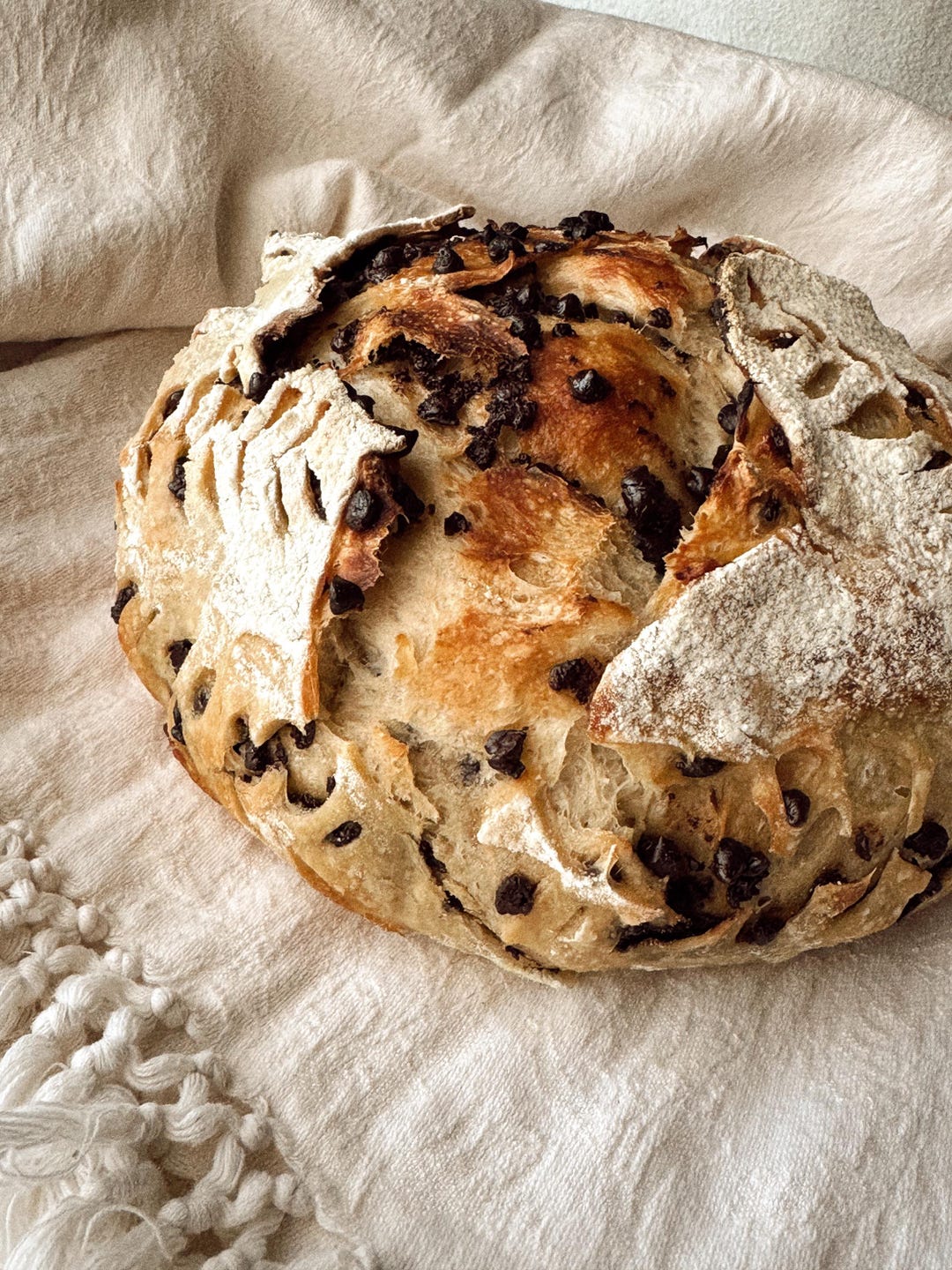 Sourdough Bread for Busy Folks GUIDE - Make Sourdough Bread at Home ...