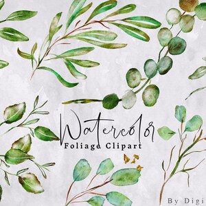 Watercolor Greenery Digital Clipart, Watercolor Foliage Clipart, Png ...
