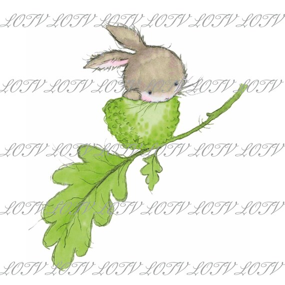 Little Acorn Rabbit Bunny Spring Baby Artwork - Etsy