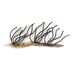 Lionfish Coastal Sea Life Tropical Reef Fish Contemporary Metal Wall ...